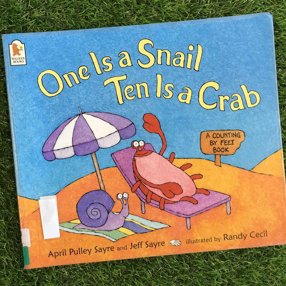 10+ Maths Books For Young Learners - Modern Teaching Blog NZ