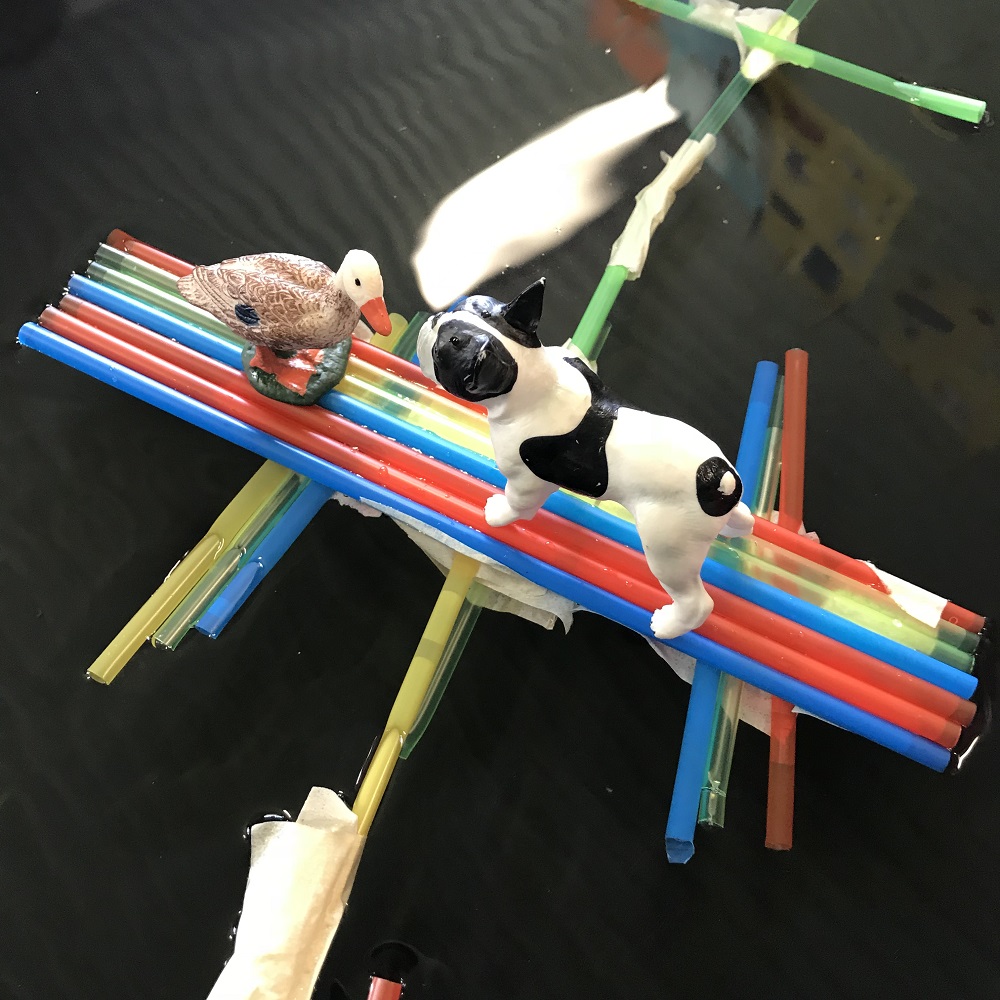 Early STEM Activities: Part Two - Modern Teaching Blog NZ