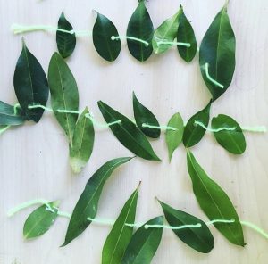 Natural Resources In The Classroom - Modern Teaching Blog NZ