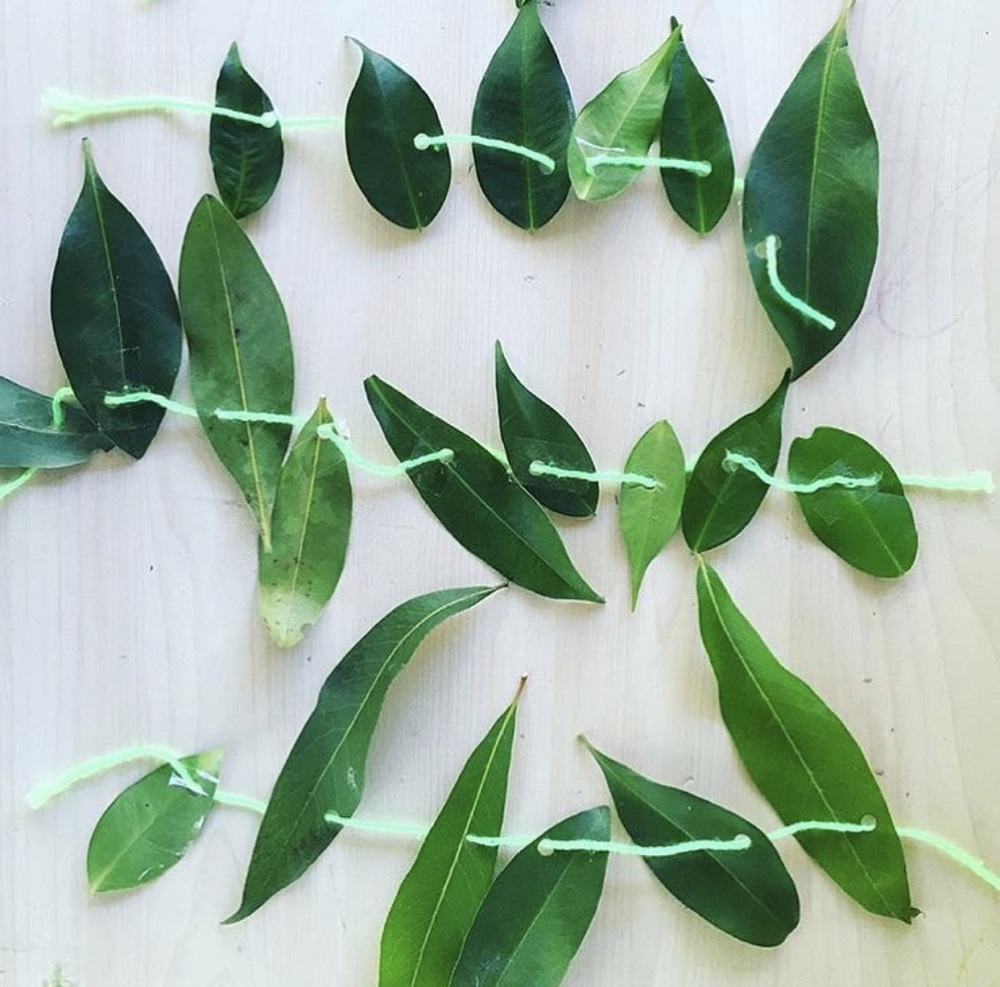 Natural Resources In The Classroom - Modern Teaching Blog NZ