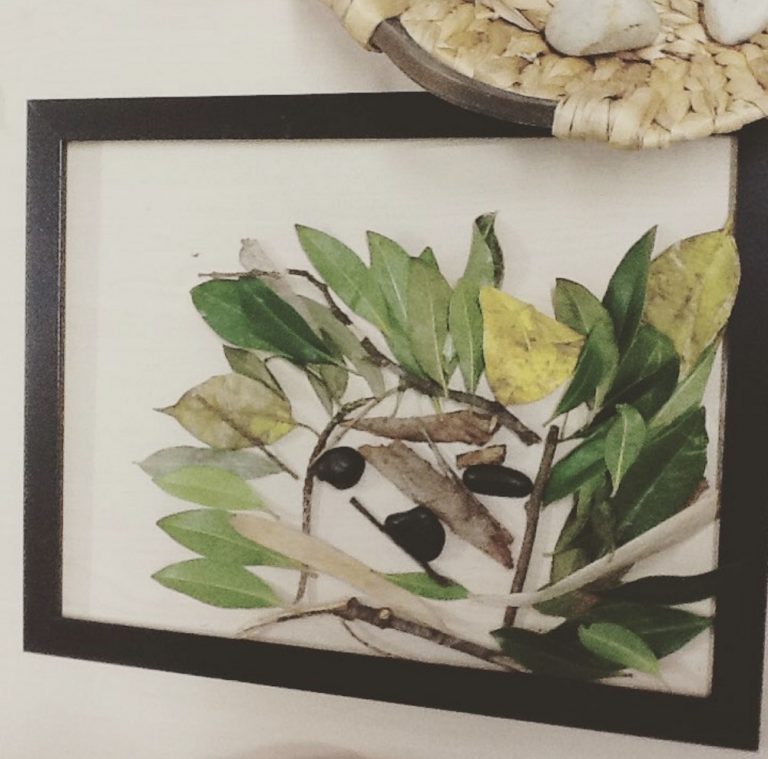 Natural Resources in the Classroom: Part 2 - Modern Teaching Blog