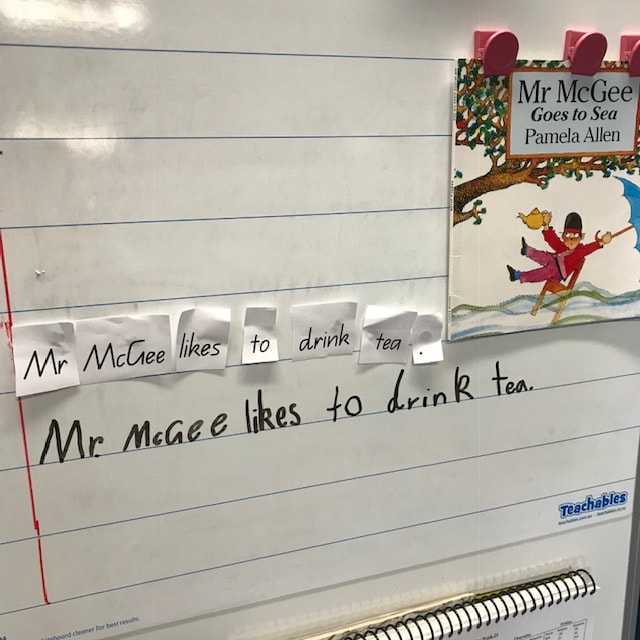 Teaching With Teachables - Modern Teaching Blog NZ